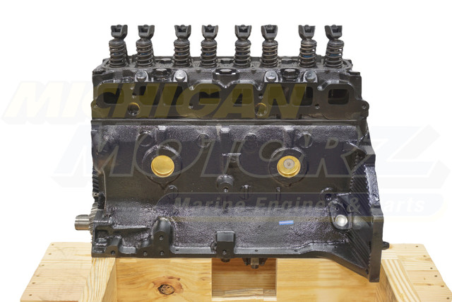 3.0L Marine Engine (1990-2018) - Michigan Motorz LLC