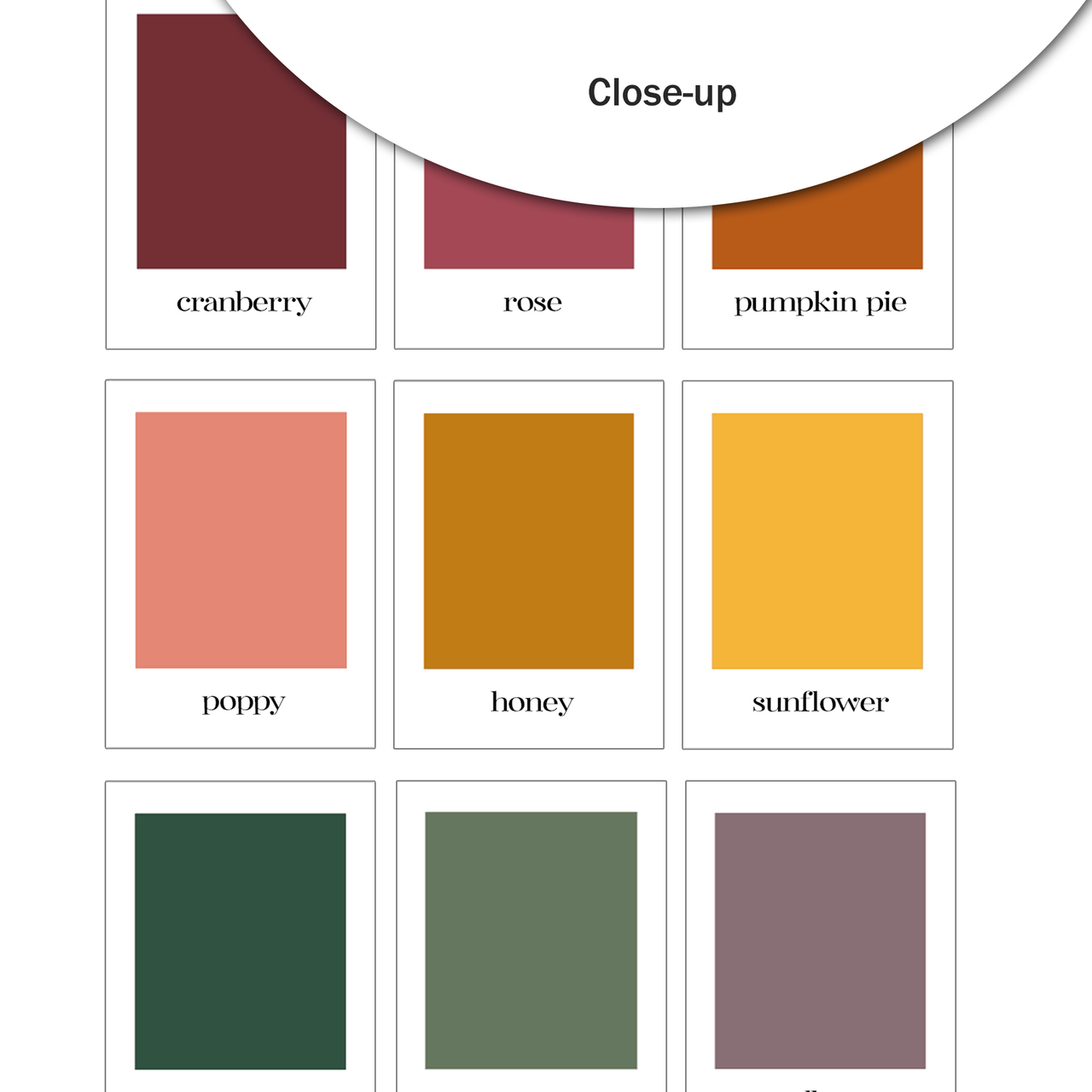 Ginger Snap by Melissa Ross