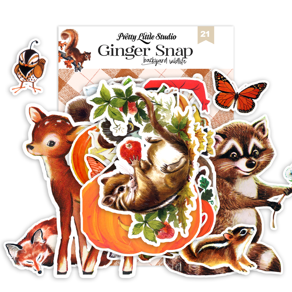 Vintage Shoppe - Vintage Die-Cut Packs - Large Die-Cut Packs - Pretty ...