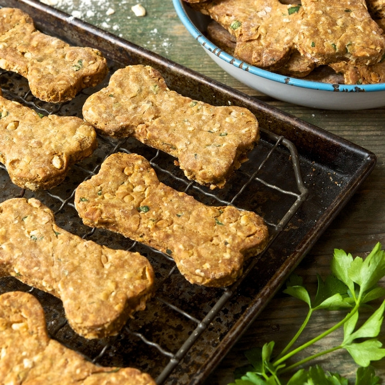 Dog Bone Biscuit Cutter - King Arthur Baking Company