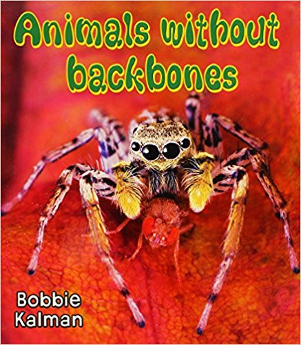 Animals without Backbones