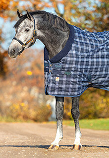 Quality Horse Stable Blankets & Sheets for Sale