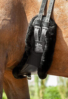 Enhance Your Riding Experience with Premium English Tack and Horse Gear