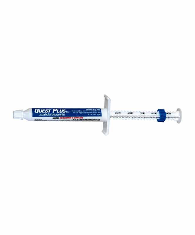Quest Plus Wormer | Sprucewood Tack