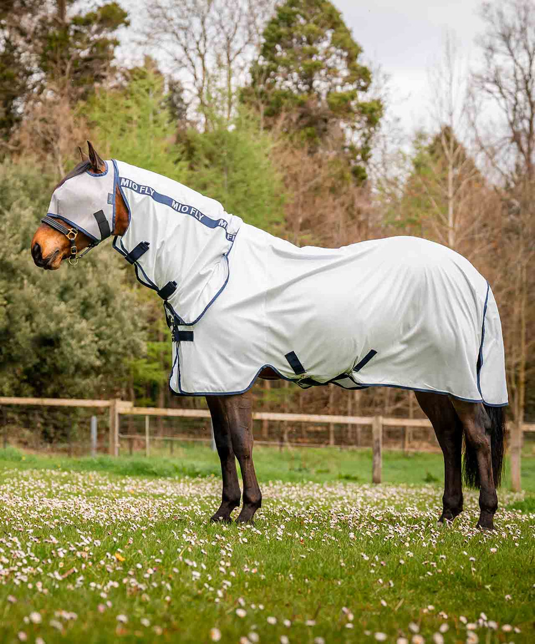Amigo Mio Fly Rug | Sprucewood Tack Shop