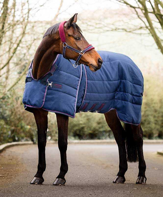 Rambo Optimo Stable Medium | Sprucewood Tack