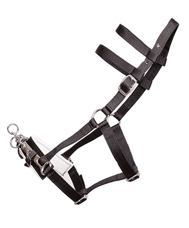 Lunging Halter with Nylon Webbing | Sprucewood Tack