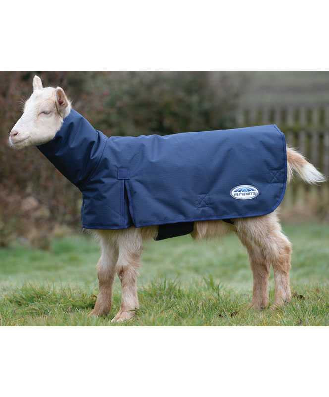 Weatherbeeta Goat Coat with Neck | Sprucewood Tack