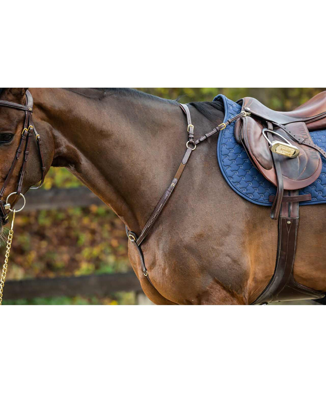 Dy'on D Collection Bridge Breastplate | Sprucewood Tack