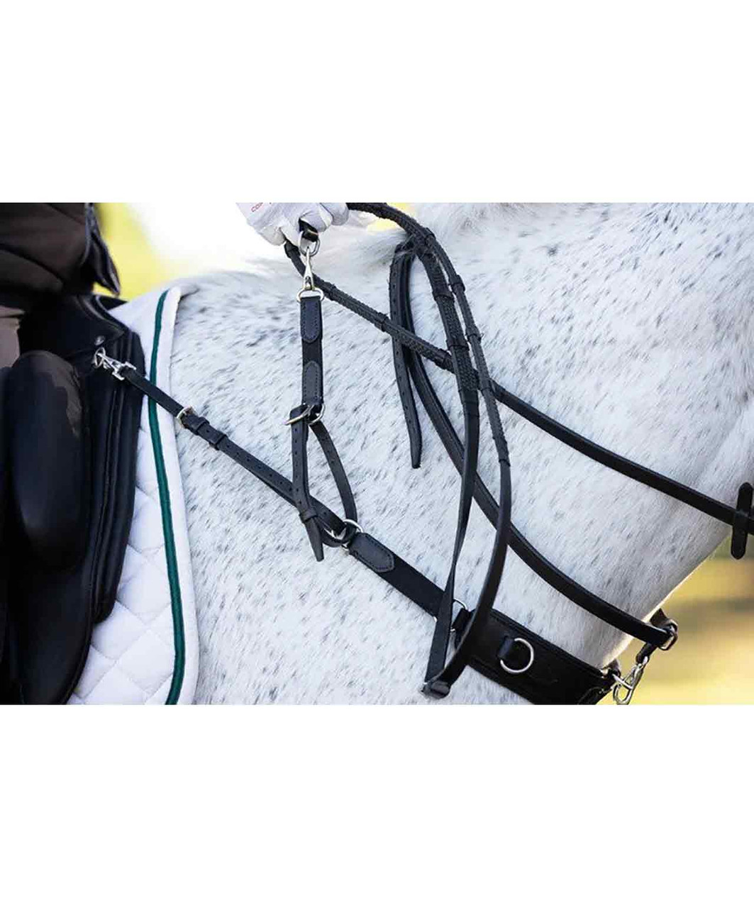 Correct Connect's 3 in 1 Training Breastplate | Sprucewood