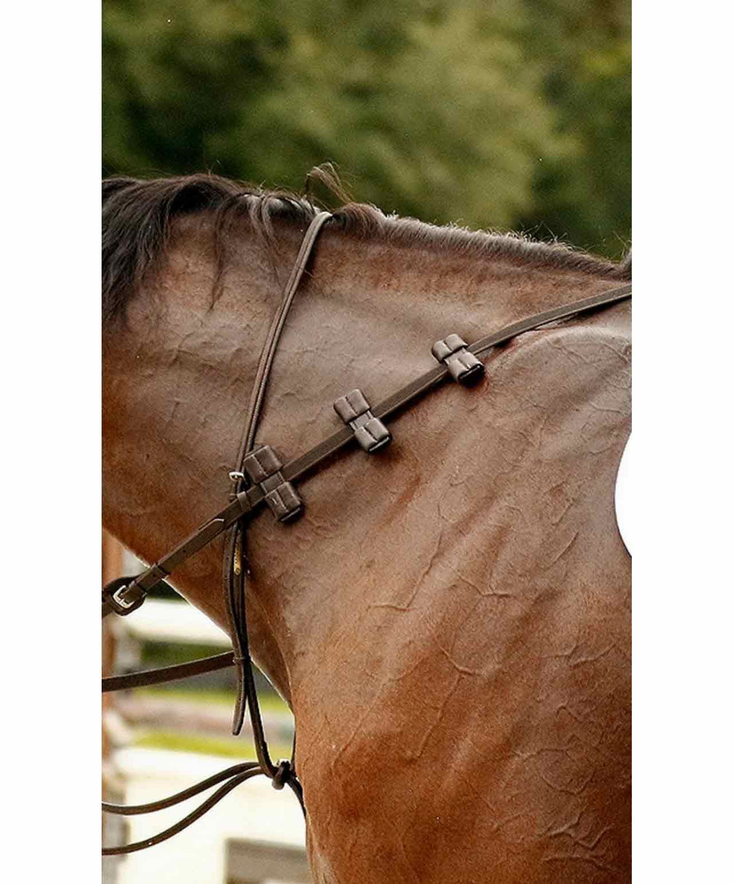 Correct Connect Aaron Vale Rein with 3 Padded Hand Grips