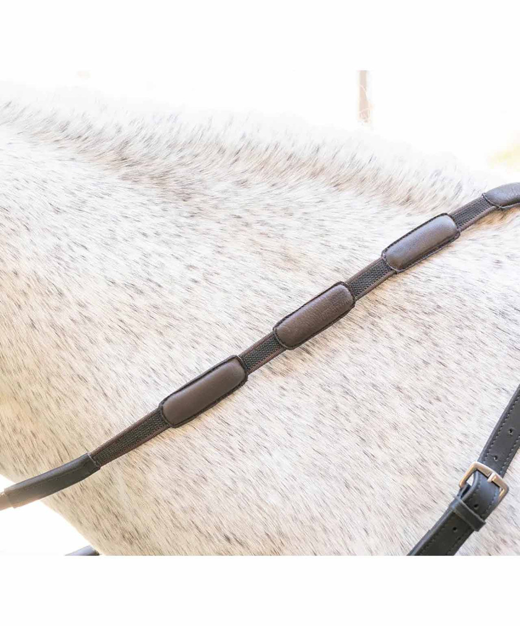 Correct Connect Comfort Connect Rein | Sprucewood Tack