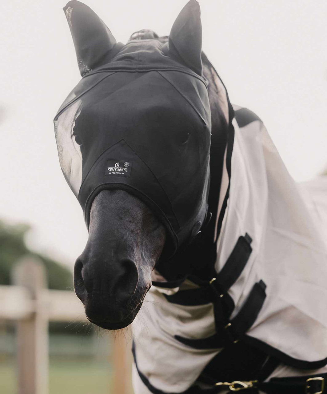 Kentucky Horsewear Classic Fly Mask With Ears | Sprucewood