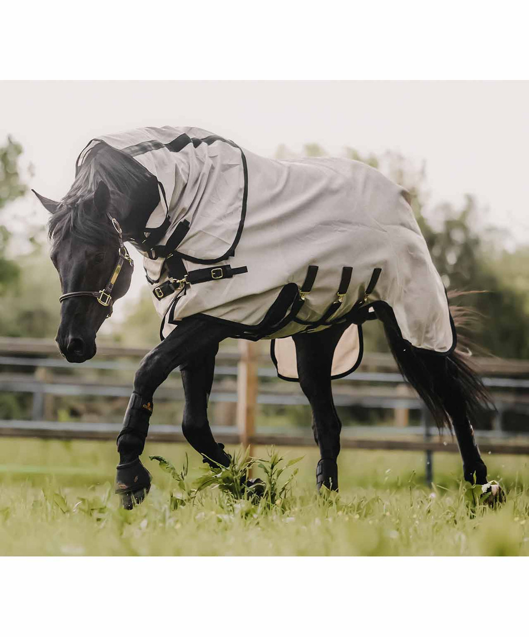 Kentucky Horsewear Mesh Fly Rug | Sprucewood Tack