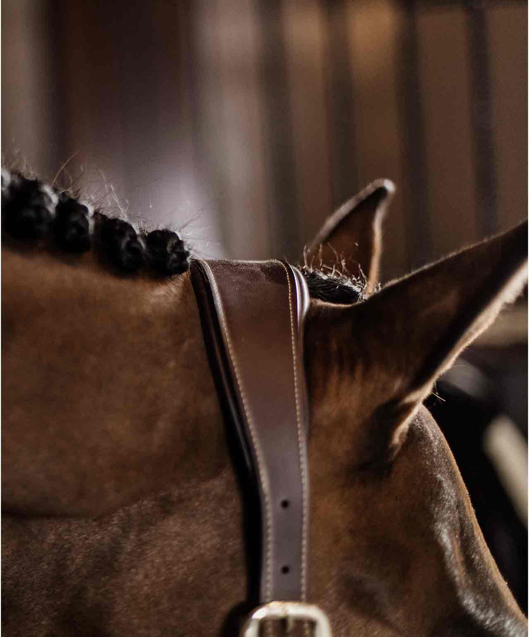 Kentucky Horsewear Anatomic Halter Crown | Sprucewood Tack