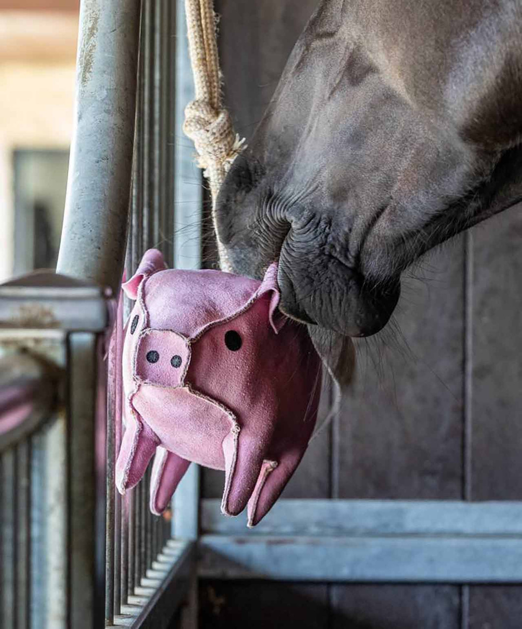 LeMieux Horse Toy Flying Pig | Sprucewood Tack