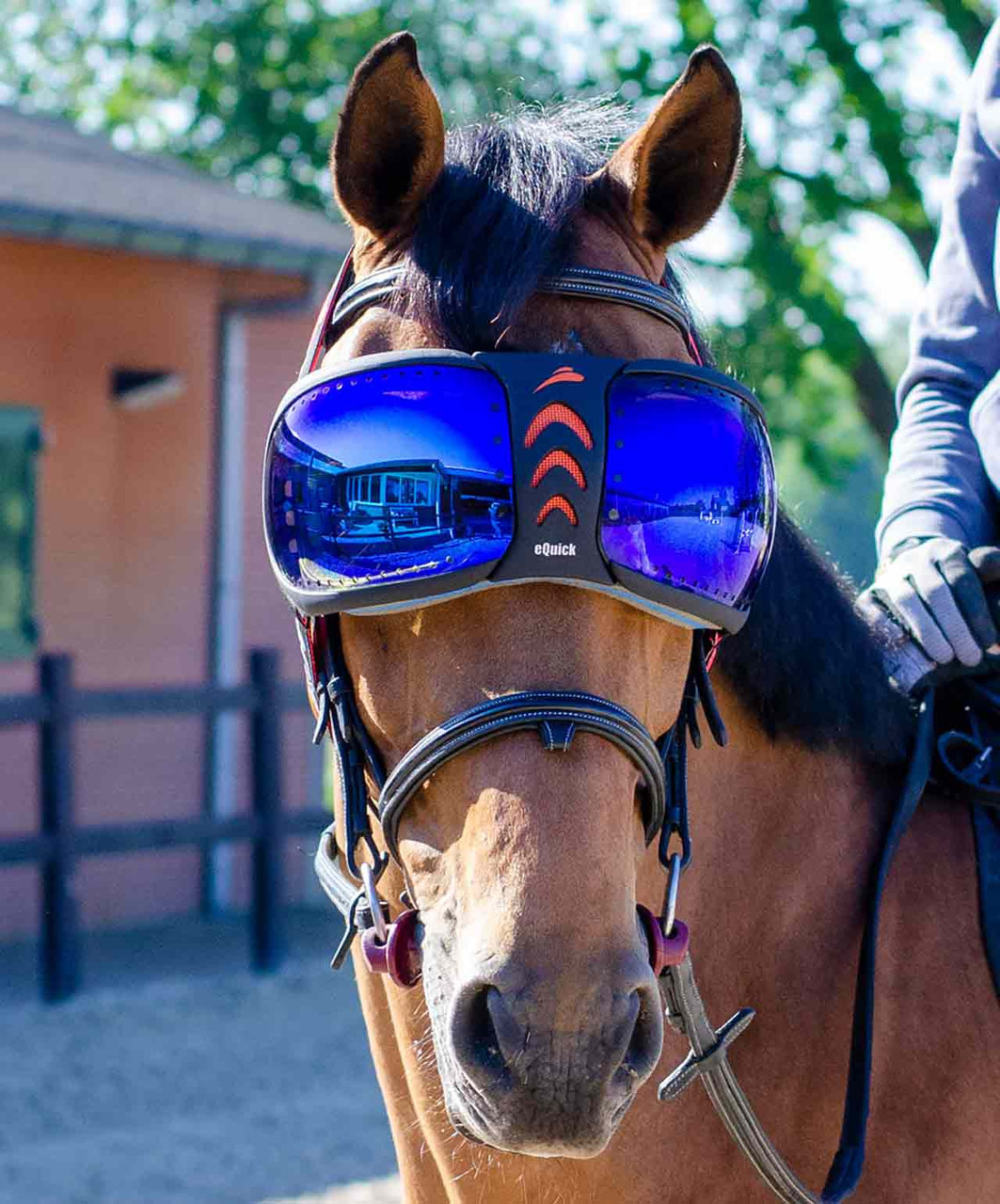eQuick eVysor Horse Eye Protection Replacement Lens