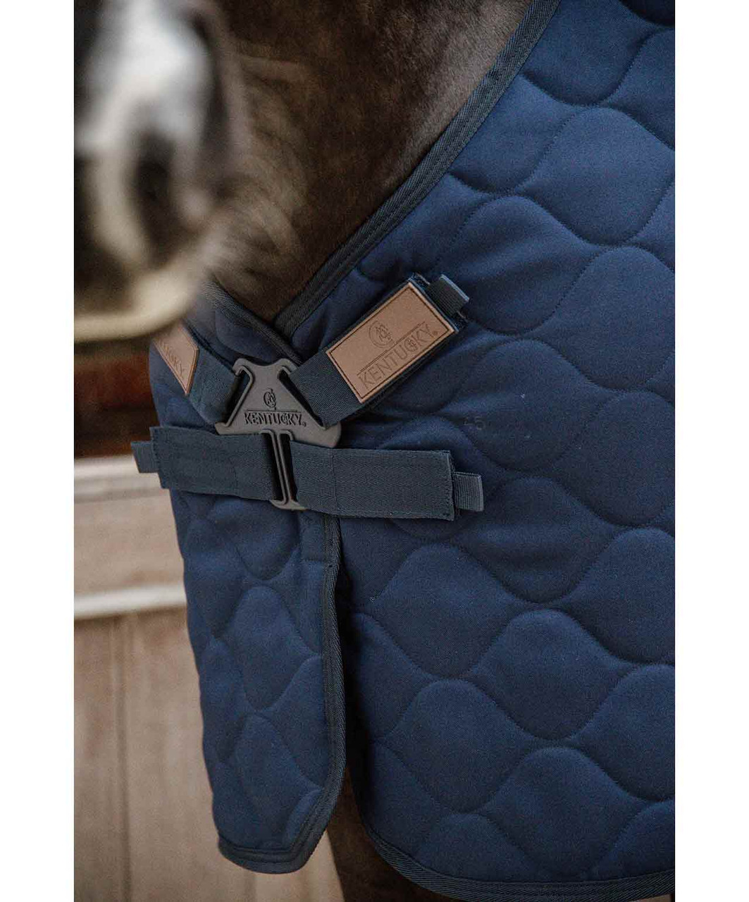 Kentucky Horsewear Stable Rug Comfort 200 grams - Sprucewood