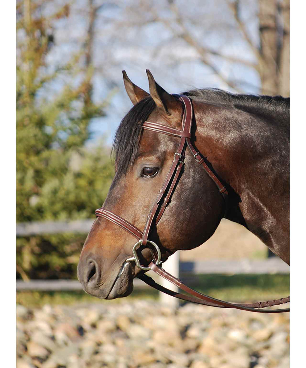CLEAROUT - HDR Pro Stress Free Plain Raised Padded Bridle - Sprucewood Tack