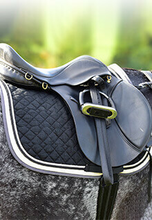 Shop For Saddles - Buy Premium Equestrian Saddles Online