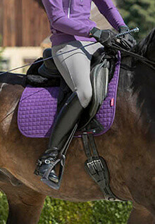 Shop For Saddles - Buy Premium Equestrian Saddles Online