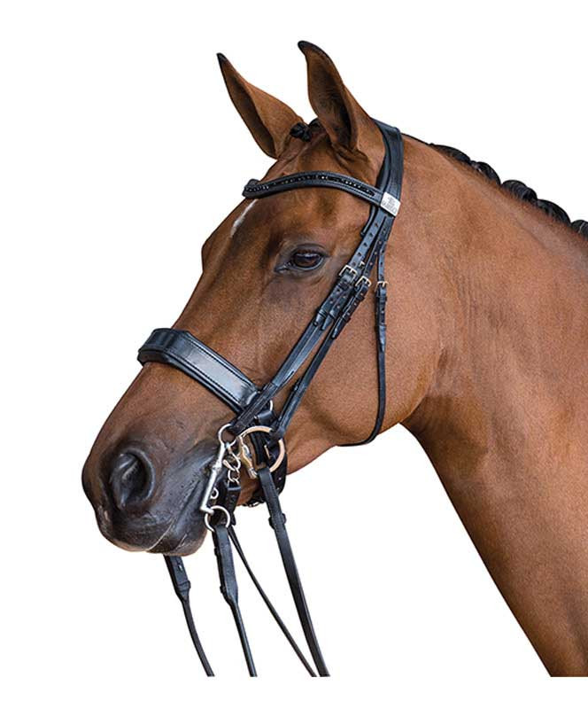 Horse Bridles - Shop English Horse Bridles Online