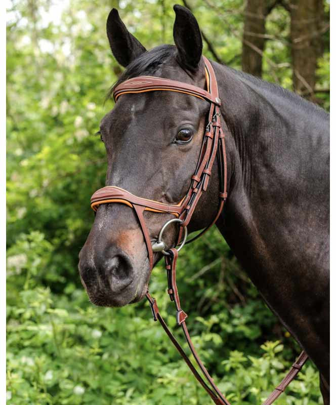 Horse Bridles - Shop English Horse Bridles Online
