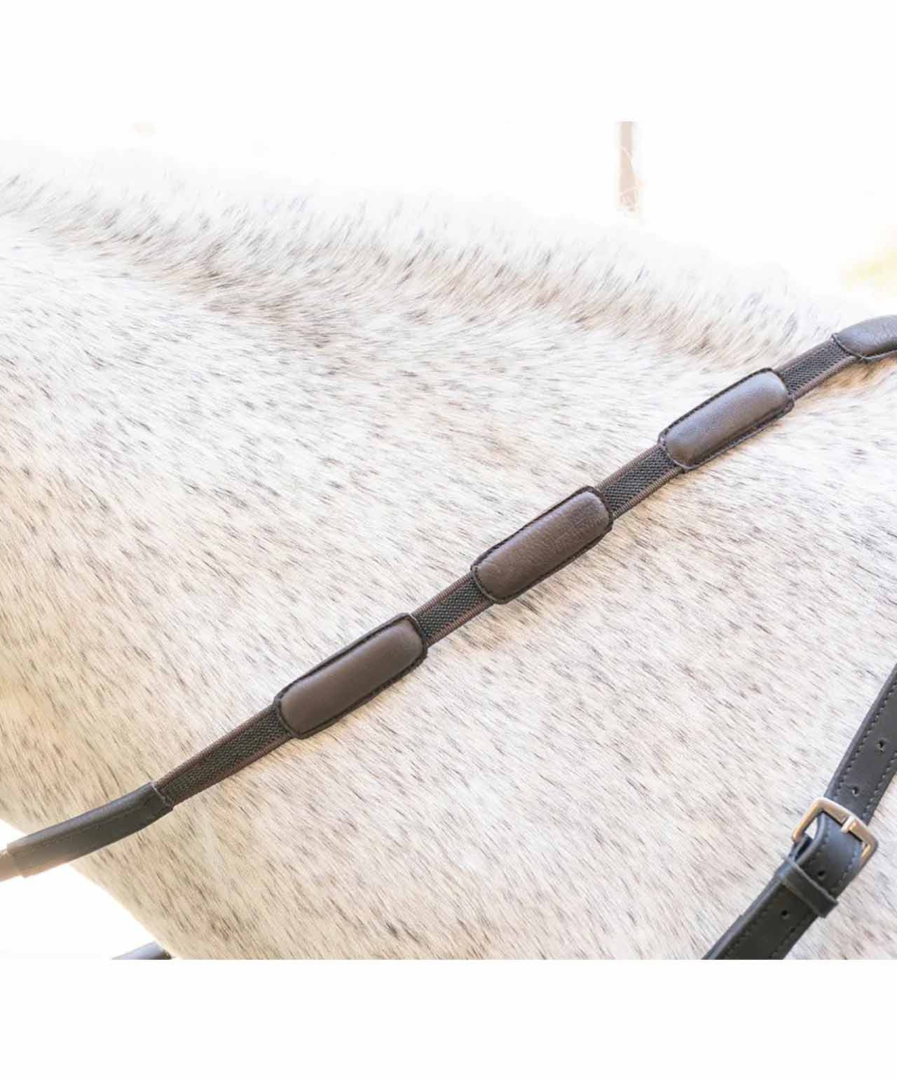 Correct Connect Double Neck Strap | Sprucewood Tack