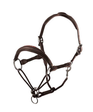 Animo Utah Leather Halter - Sprucewood Tack