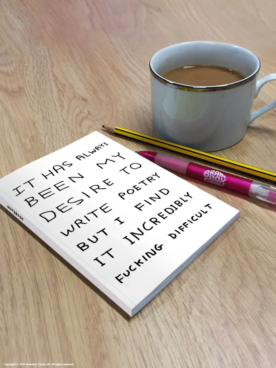 David Shrigley Poetry notebook - powerandlightpress