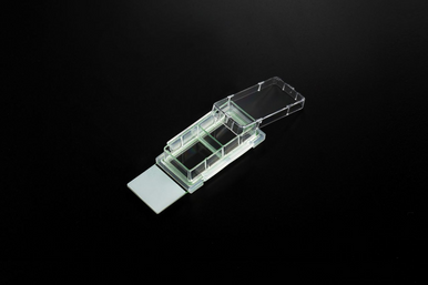 Nest Cell Culture Chamber Slides, 2 well w/glass slide, Clear, 4.55 cm2 ...