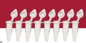 PCR Strip-Clear, 0.2ml, 8 Strip with Attached Dome cap, 120 strips per unit