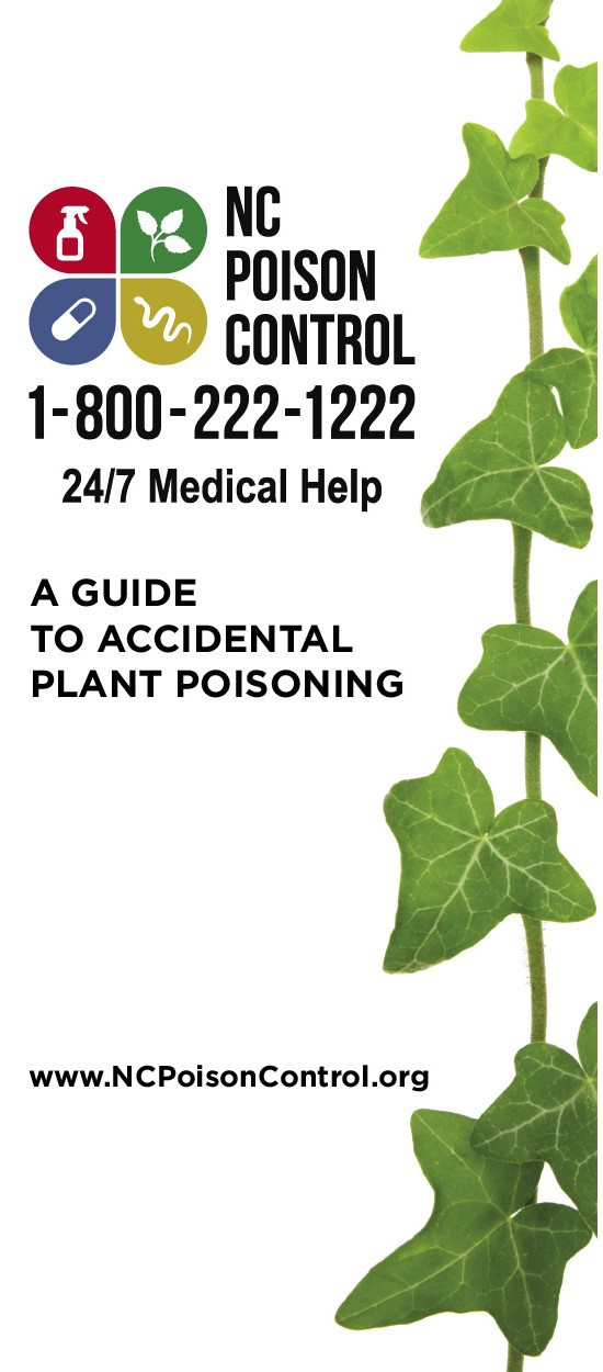 Plant Brochure