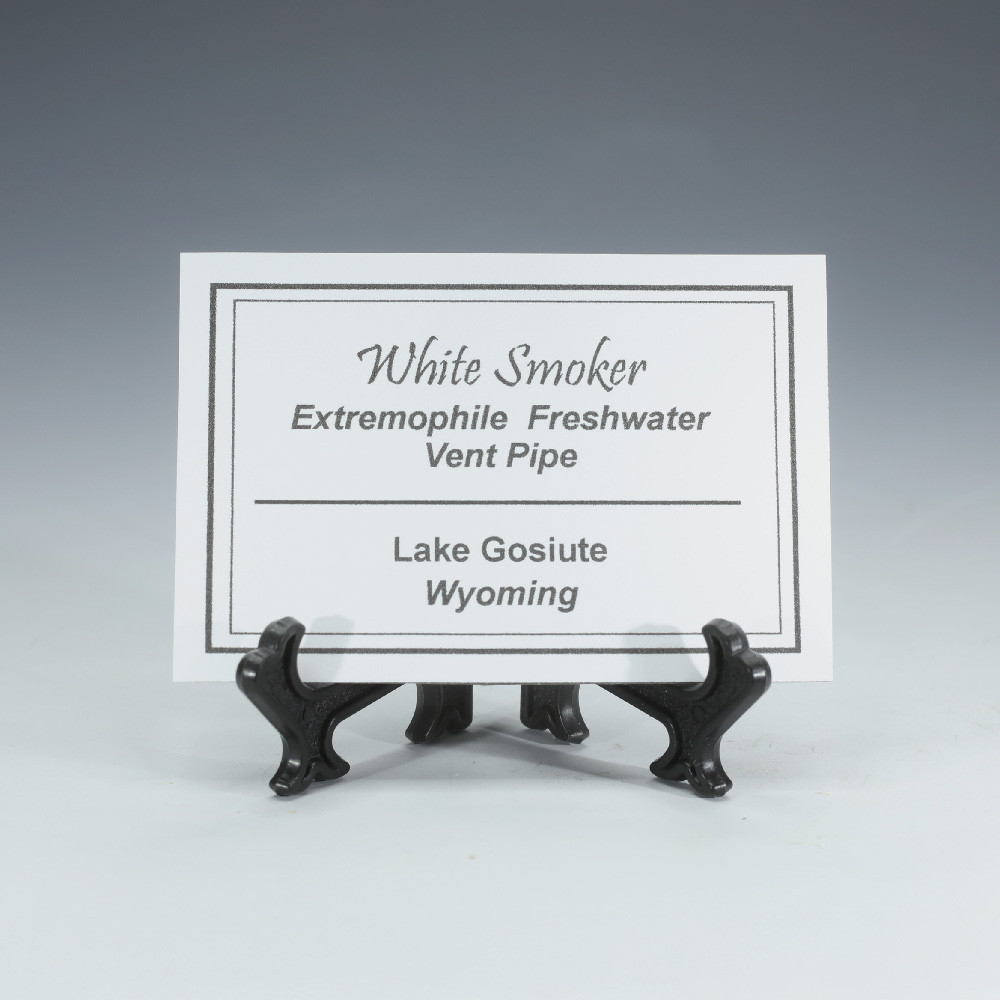 White Smoker Hydrothermal Vent Wyoming