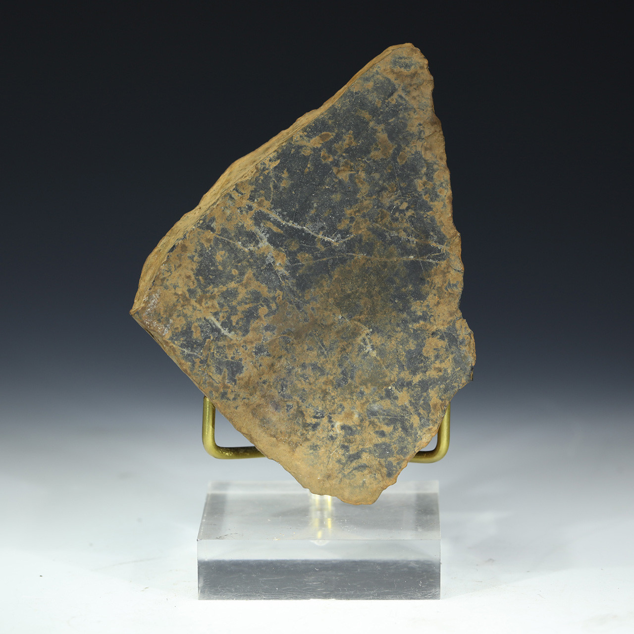 Mesolithic Tool Chopper Barberton South Africa