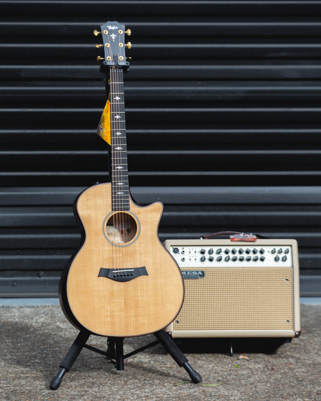 Taylor 614ce Builder's Edition 2018 - Natural - On Sale at Guitar World ...