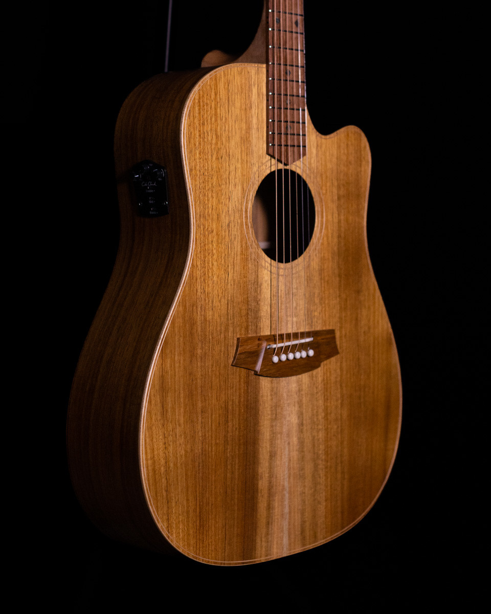 Cole Clark FL2EC-BLBL All Blackwood Acoustic Electric Dreadnought ...