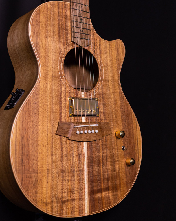 Cole Clark AN2EC Angel Humbucker - Blackwood - On Sale at Guitar World ...