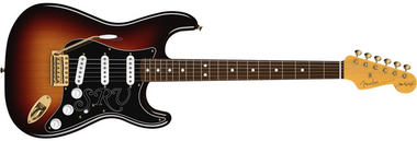 Srv stratocaster store