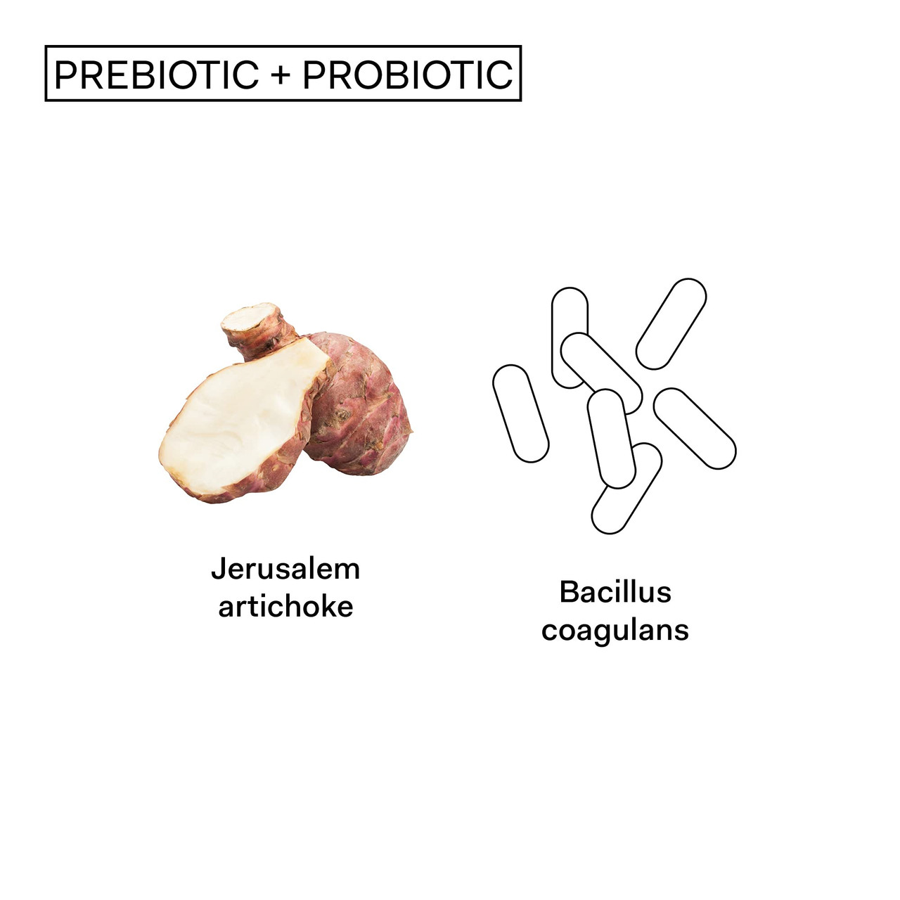 The Nue Co. Natural Prebiotic Probiotic IBS Relief Supports Gut Health ...