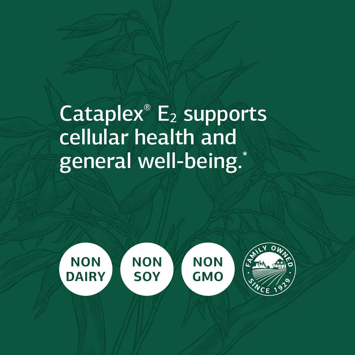 Standard Process - Cataplex E2 - 90 Tablets