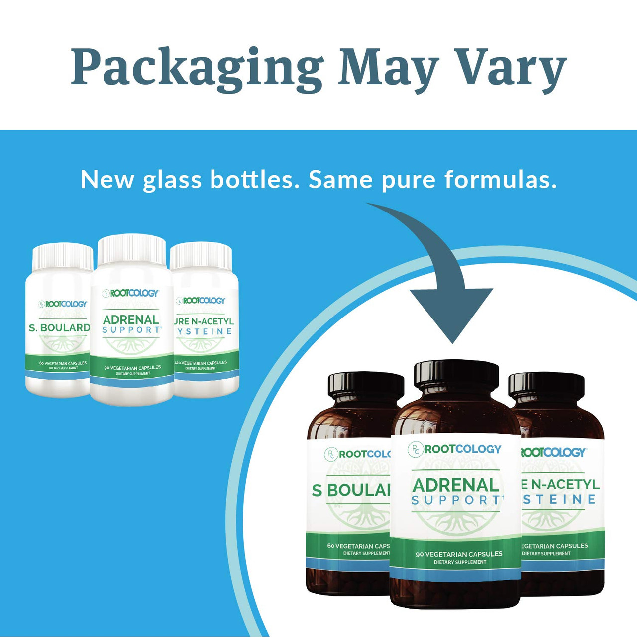 Rootcology Pancreatic Enzymes Plus - Digestive Enzyme With Lipase ...