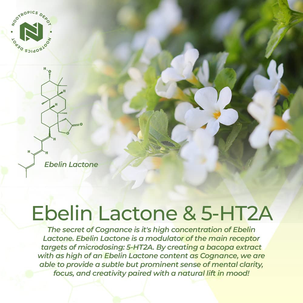 Cognance Enhanced Bacopa Capsules | 100mg | 10% Ebelin Lactone | Bacopa ...