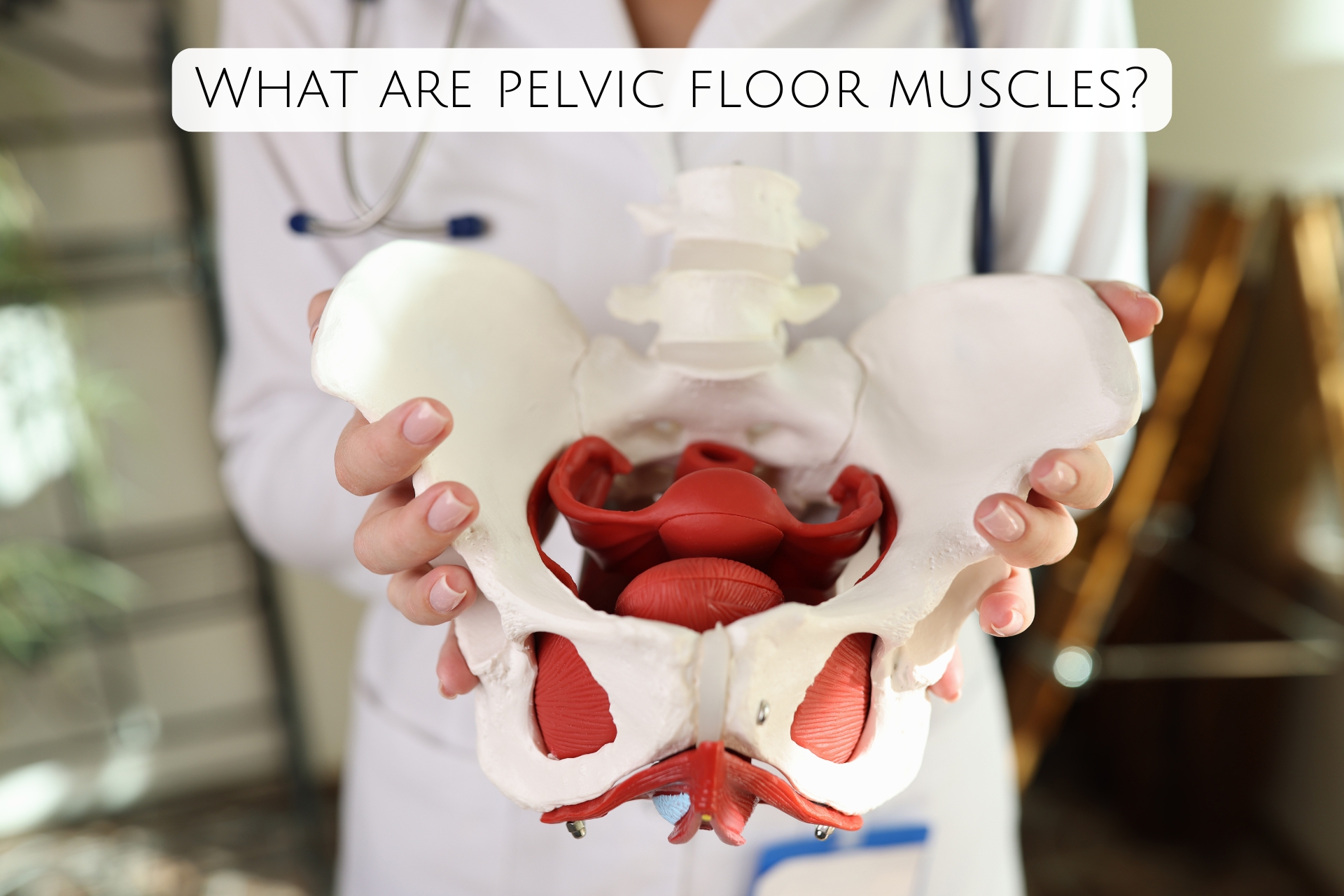 What are pelvic floor muscles? - Kiwla