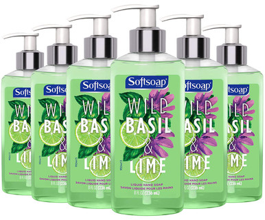 Softsoap wild basil and lime store