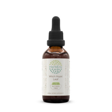 Witch Hazel Leaf B60 Alcohol-Free Herbal Extract Tincture, Concentrated ...