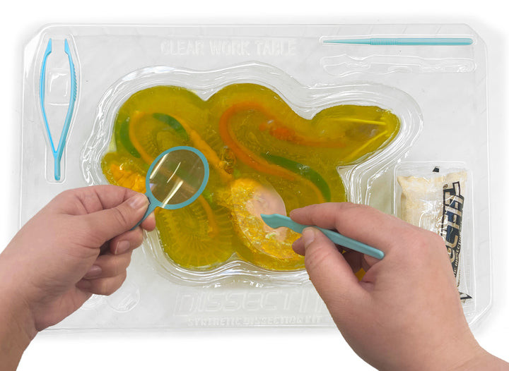 Great deals on Top Secret Toys - Dissect-It Rattlesnake Super Lab Plus ...