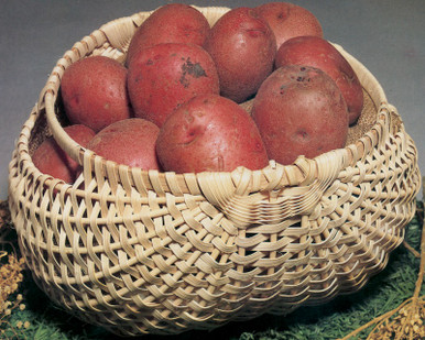 Buy the Commonwealth Basket - Blue Ridge Basket Kits-Potato Basket 7 ...