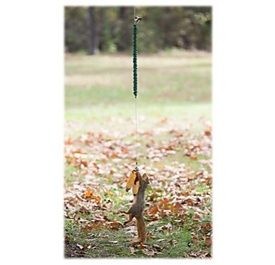 SONGBIRD ESSENTIALS - Squngee Deluxe - Bungee-Jump Corn Cob Squirrel ...