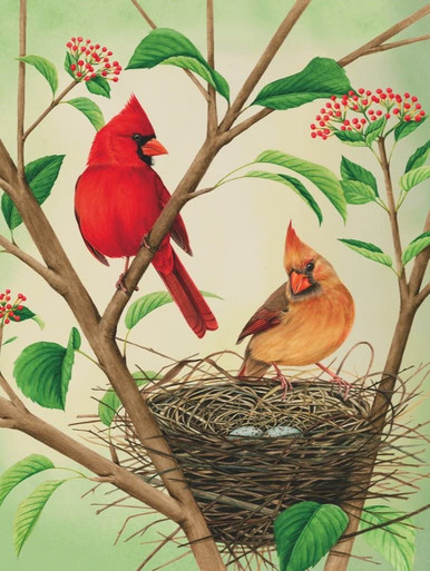 Great deals on NEW YORK PUZZLE CO. - Cornell Lab Northern Cardinals ...